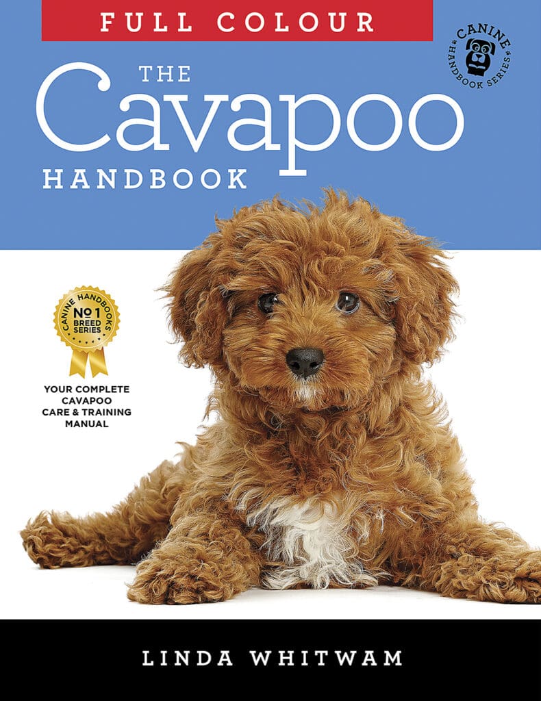 The Full Colour Cavapoo Handbook - Canine Handbooks